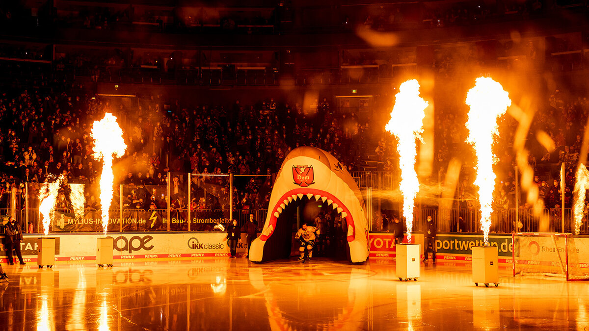 PENNY DEL - Vorhang auf: Haie und Red Bulls eröffnen die Saison 2022/23